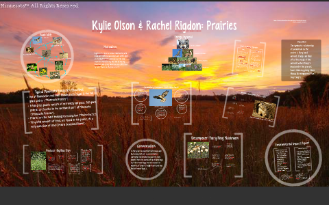 Prairies by Rachel Rigdon on Prezi