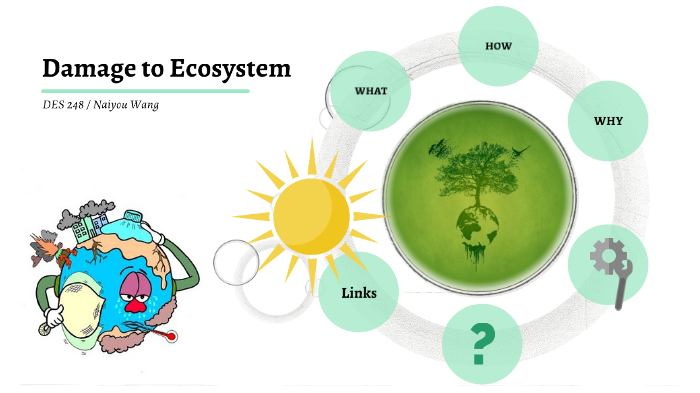 Damage to Ecosystem by Naiyou Wang on Prezi