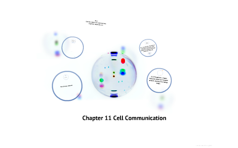 AP Biology Chapter 11 Cell Communication by Amy DeBell on Prezi