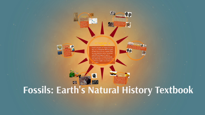 Fossils: Earth's Natural History Textbook by Isabella Castro on Prezi