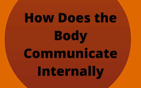 AP Psychology: How Does the Body Communicate Internally (71-83) by ...