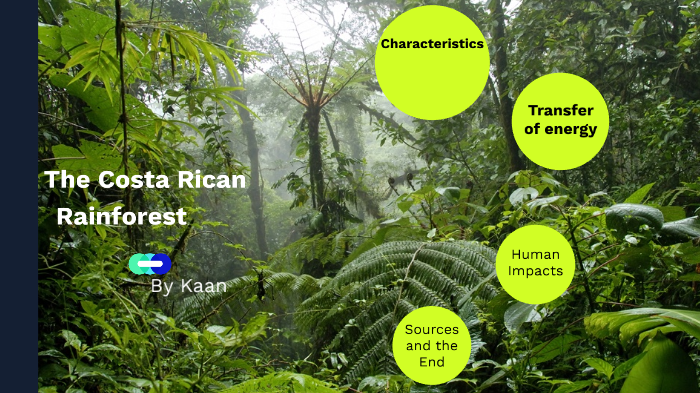 Biome Research: Costa Rican Rainforest by kaan keskindil on Prezi