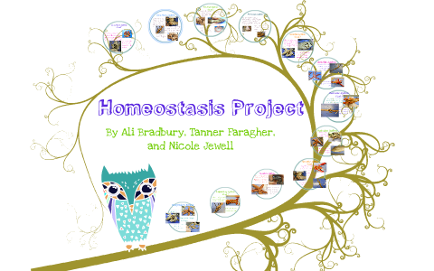 Homeostasis Project by ali bradbury on Prezi