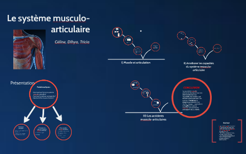 Le système musculo-articulaire by Tricia Haas on Prezi
