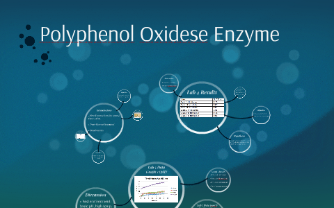 Polyphenol Oxidese Enzyme (PPO) by Anna Sentina on Prezi