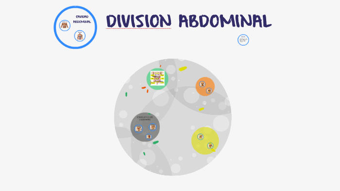DIVISION ABDOMINAL by Katherine Rojas on Prezi