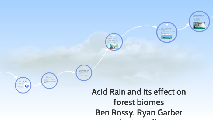Acid Rain and its effect on forests by Ben Rossy