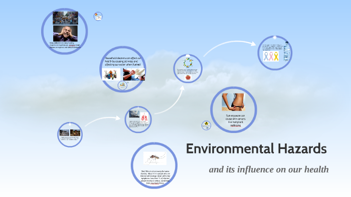 Environmental Hazards by Meghan Szajda