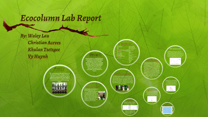 Ecocolumn Lab by Waley Lau on Prezi