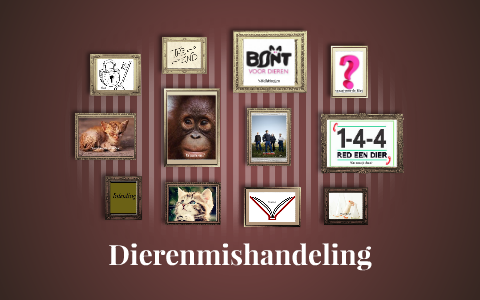 Wat is Dierenmishandeling? by Suzanne van der Burgt on Prezi