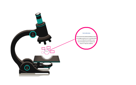 Voor het vak SLB (studie loopbaan begeleiding) kregen wij he by aileen ...