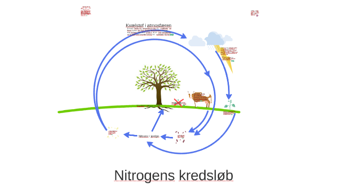 Nitrater i jorden by Thilde Møller on Prezi