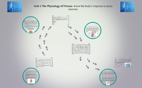 Know the body’s response to acute exercise. by Jade Lowry on Prezi