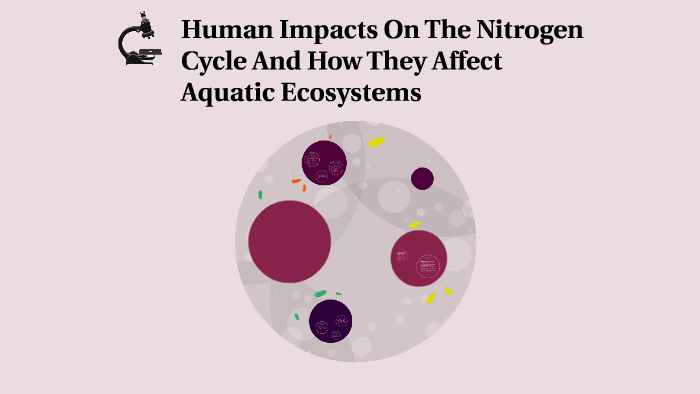 Human Impacts on The Nitrogen Cycle and how they affect Aqat by Breanna ...