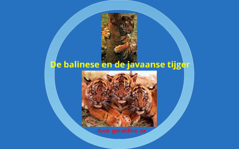 de balinese en javaanse tijger by Jolanda Pranger on Prezi