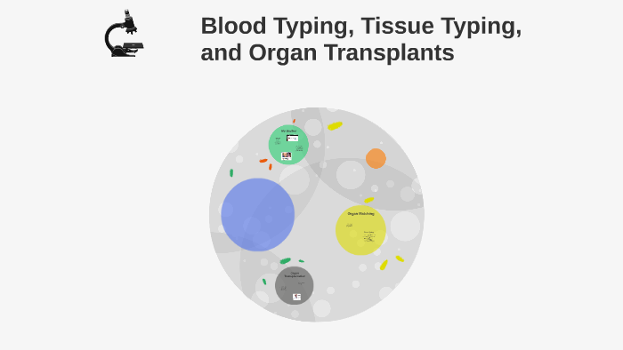 Blood Typing, Tissue Typing, and Organ Transplants by Kiersten Foltyn