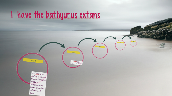 bathyurus extans by Kaitlin Chilson on Prezi