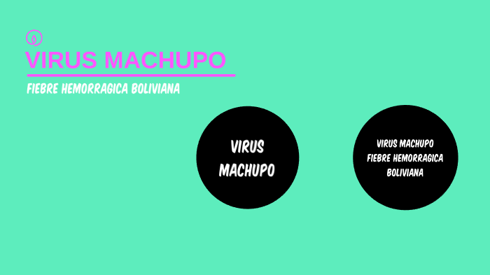 VIRUS MACHUPO by nicte salazar on Prezi