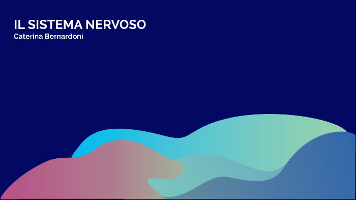 il sistema nervoso by andrea bernardoni on Prezi