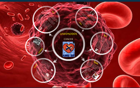 LINFONODOS by tiago fiuza on Prezi