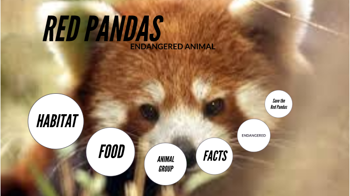 RILEY MARIANO by Emily Ricciardi on Prezi