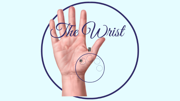 Distal Row Carpals by on Prezi