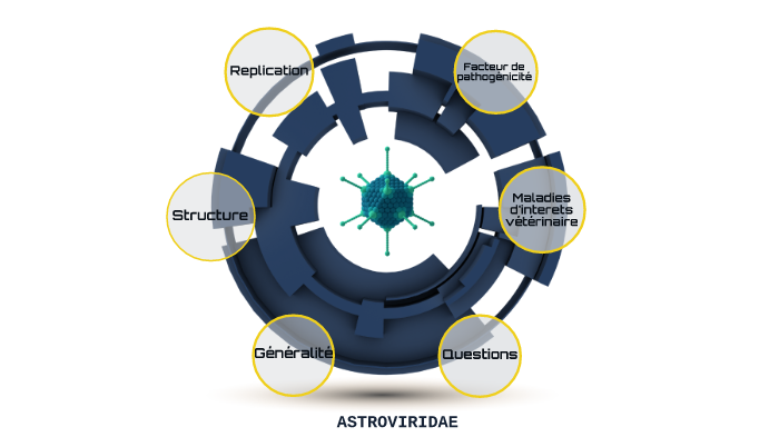 Astroviridae by Romane Savy on Prezi