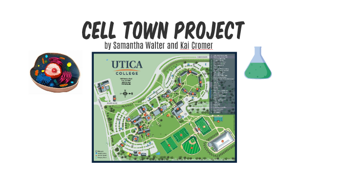 Cell town project by Sammy Walter on Prezi