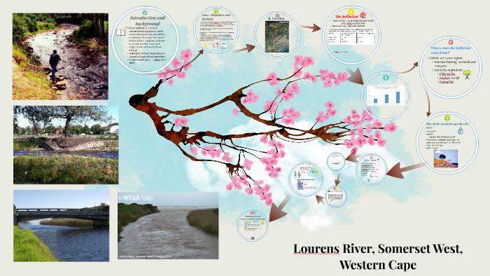 Lourens River, Somerset West, Western Cape by Kristy Smith on Prezi