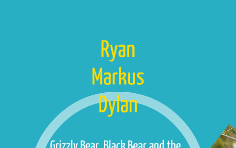 Black bear Grizzly Bear and the Box Turtle by ryan leddy on Prezi