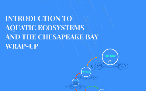 INTRODUCTION TO AQUATIC ECOSYSTEMS AND THE CHESAPEAKE BAY WR by Kamal ...