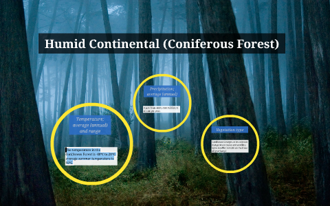 Humid Continental by Eronay Rocha on Prezi