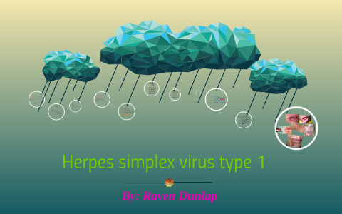 Herpes simplex virus type 1 by Raven Dunlap on Prezi