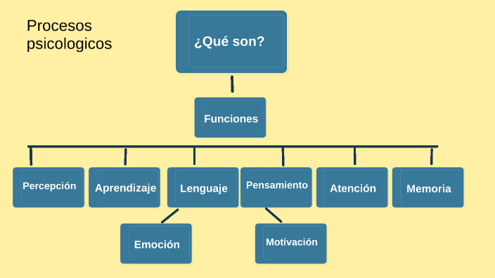 Procesos psicologicos by Lina Paola Garcia on Prezi