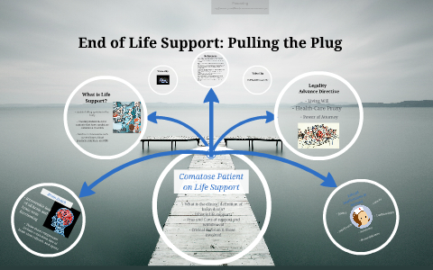 End of Life Support: Pulling the Plug by Kiarita Porro on Prezi