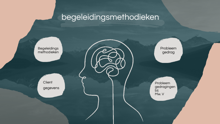 Begeleidingsmethodieken by marissa van galen on Prezi