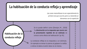 La habituación de la conducta refleja y aprendizaje by MAXIMILIANO ...
