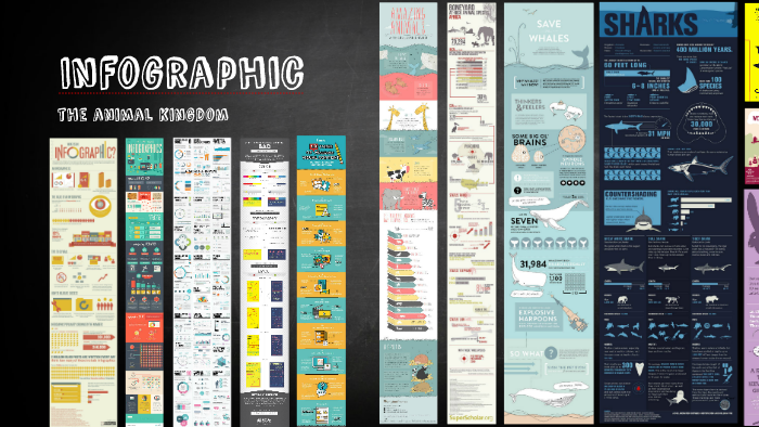 Infographic by P. Teach on Prezi