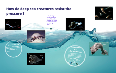 Deep sea creatures resist the pressure? by susana uribe on Prezi
