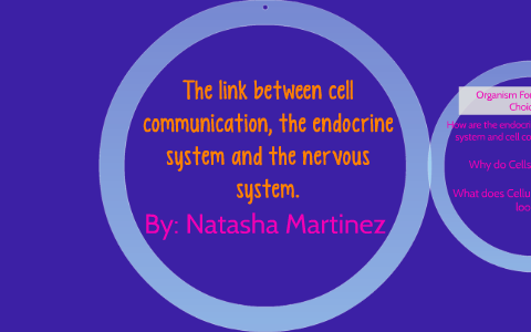 Cell communication- the endocrine and nervous system by Natasha ...