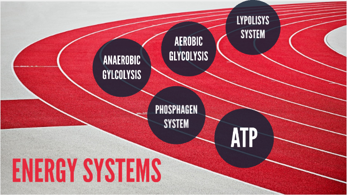 Physical Education: Energy Systems by Daniel lane on Prezi