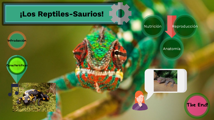 Reptiles Saurios by TuMacedonia : > :>>>>> on Prezi