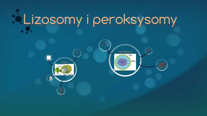 Lizosomy i peroksysomy by Patryk Łuczak on Prezi
