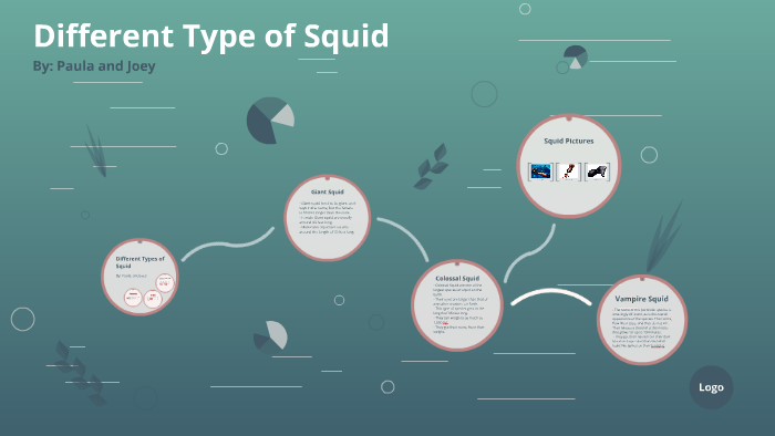Different Types of Squid by Ashley Meers on Prezi