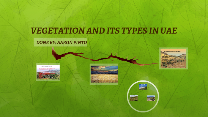 VEGETATION AND ITS TYPES IN UAE by Aaron Pinto on Prezi