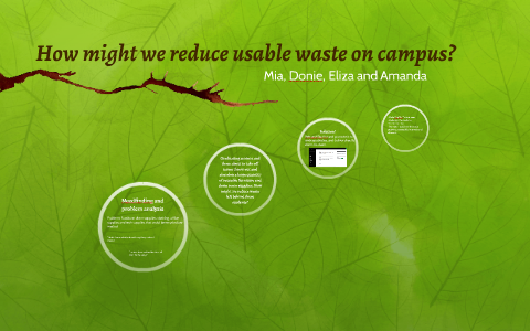 How might we reduce waste? by Eliza Rockefeller