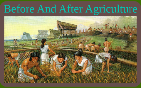 Before And After Agriculture by leander fried on Prezi