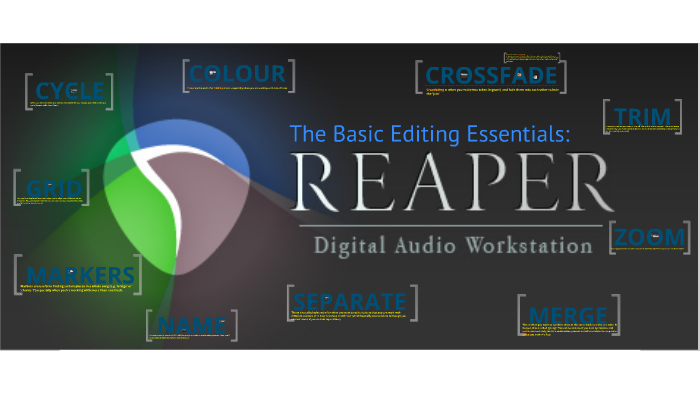 Reaper DAW: Basic Editing Essentials by Angeline Hollinshead