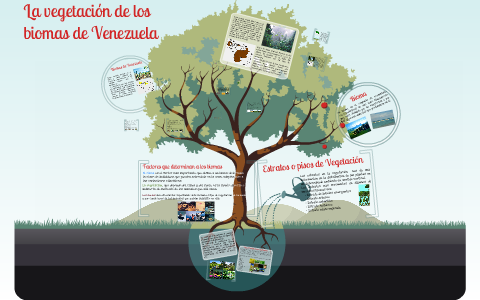 La Vegetacion De Los Biomas En Venezuela by javier villarroel on Prezi