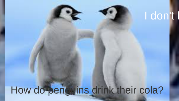 How do penguins drink their cola? by Karen Pedersen on Prezi